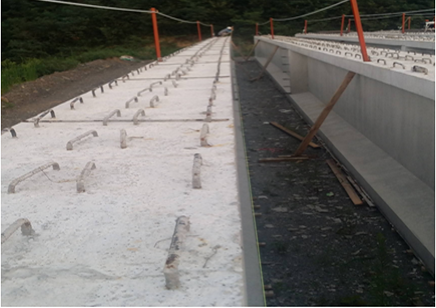 Reasons and Solutions for Transverse Sweep Occurrence in PSC Girders